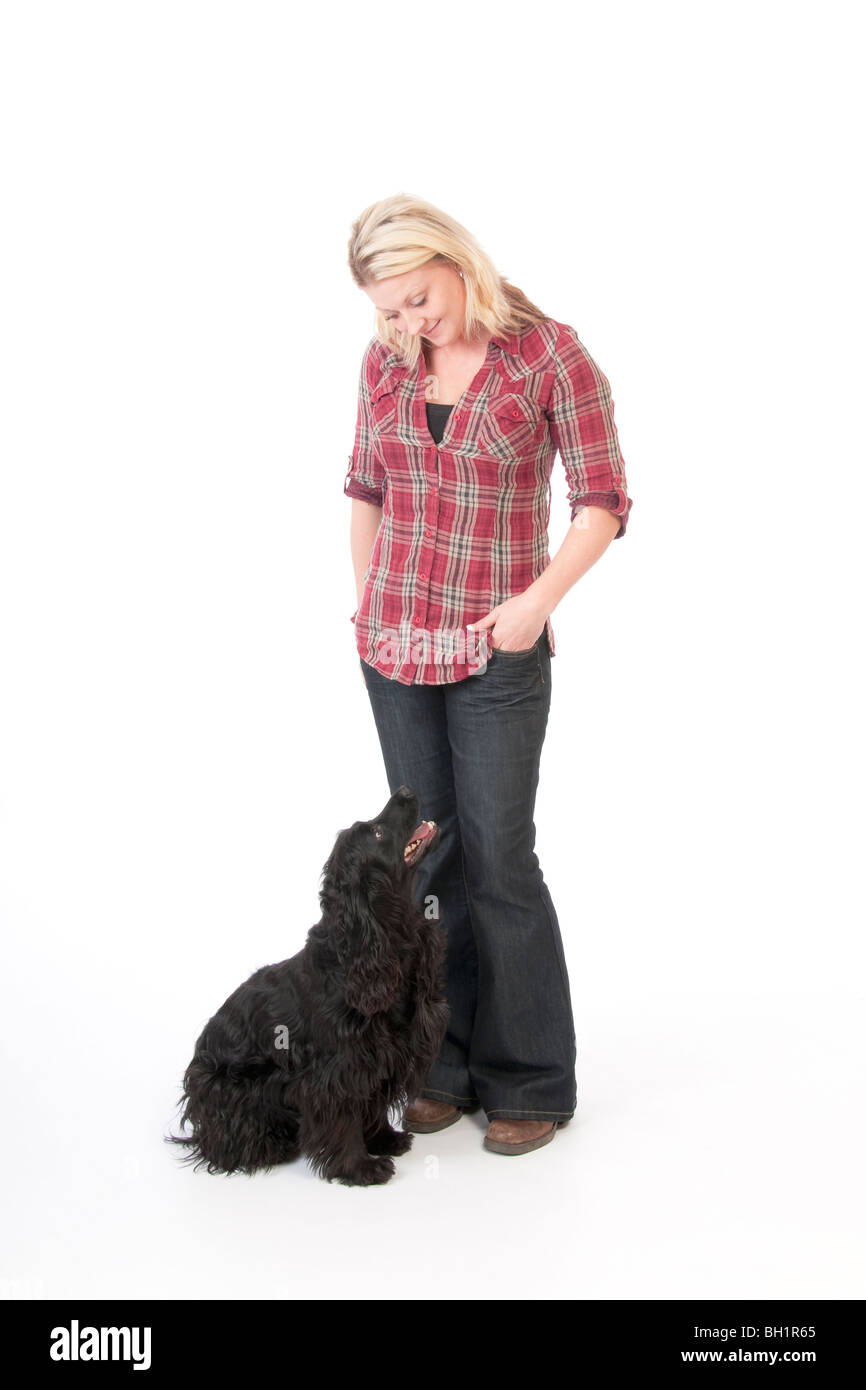 Black and white cocker spaniel Cut Out Stock Images & Pictures - Alamy