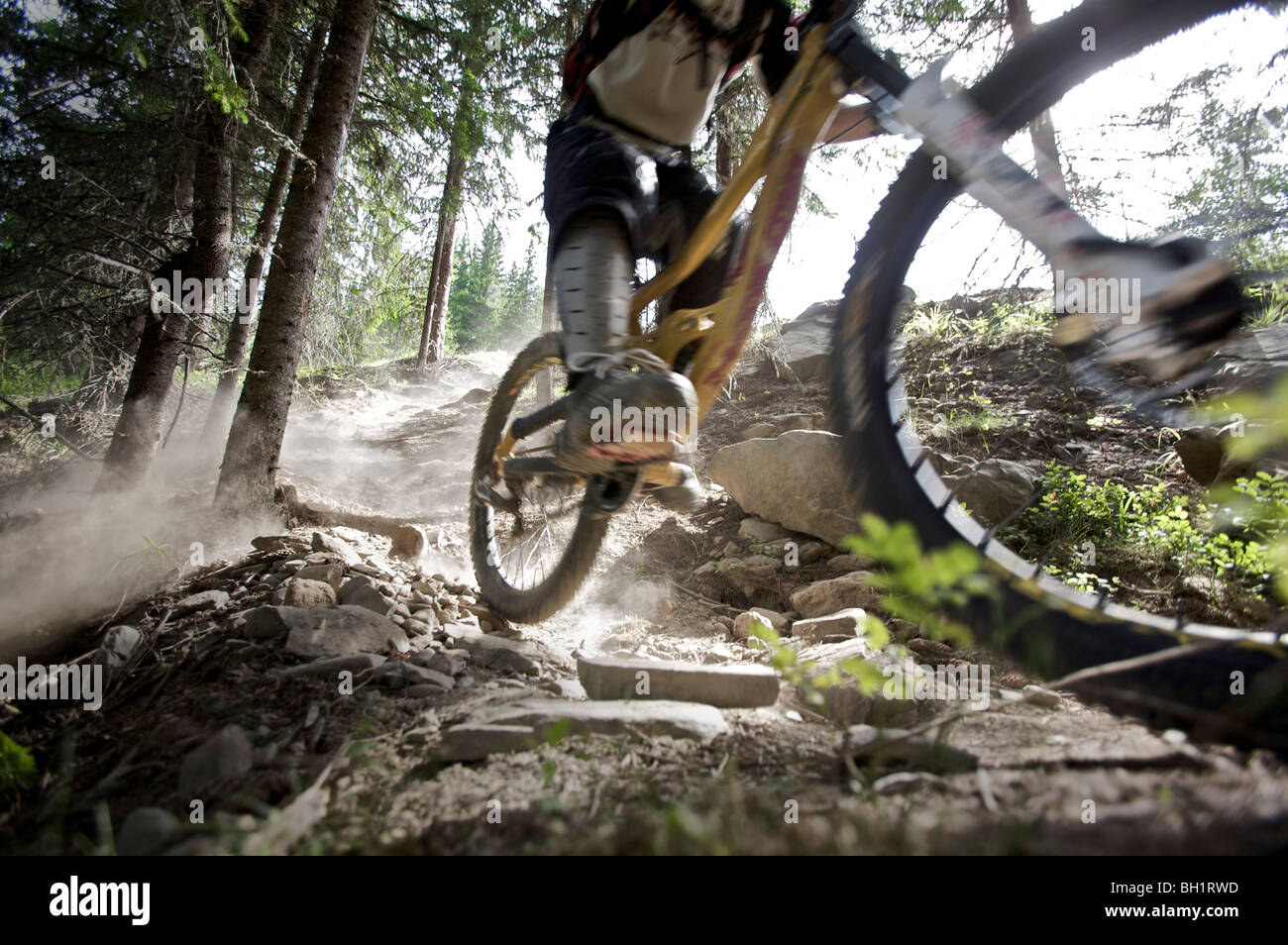 Man riding on mountainbike hi-res stock photography and images - Alamy