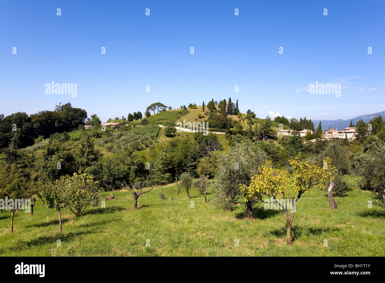 Landscape near Asolo, Veneto, Italy Stock Photo - Alamy