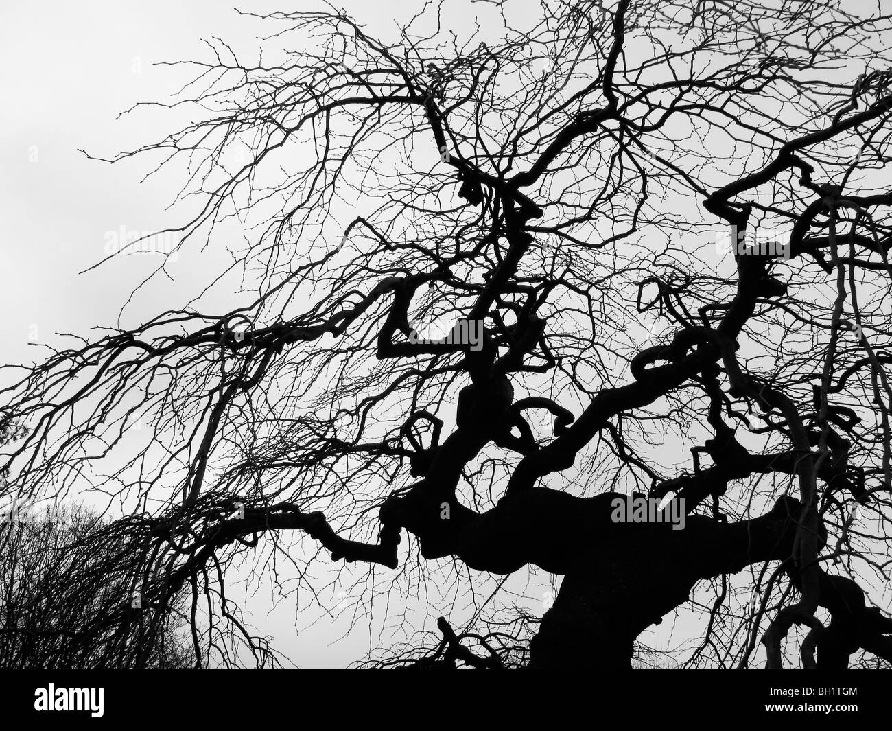 Prospect of new york Black and White Stock Photos & Images - Alamy