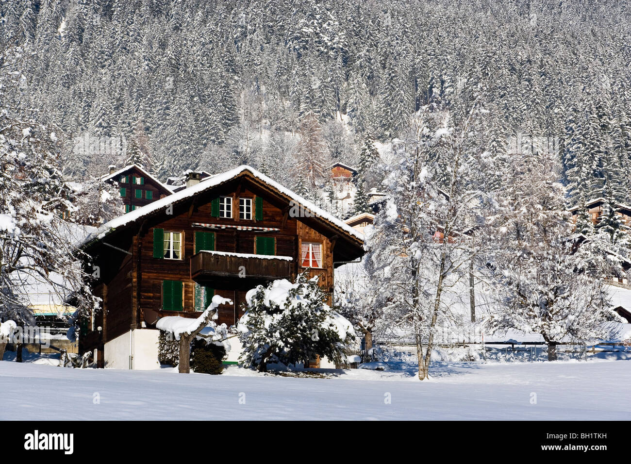 Alpine House High Resolution Stock Photography and Images - Alamy