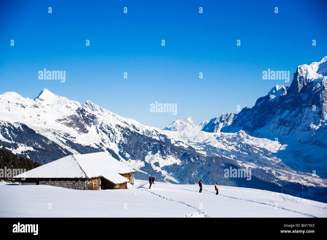 Back country skiers near an alpine hut, Maennlichen, Grindelwald ...