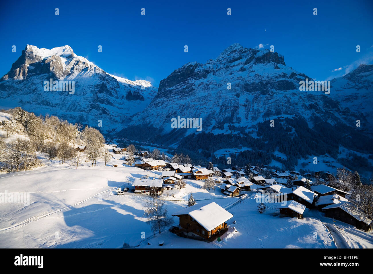 View over Grindelwald with mountain Wetterhorn and Schreckhorn in ...