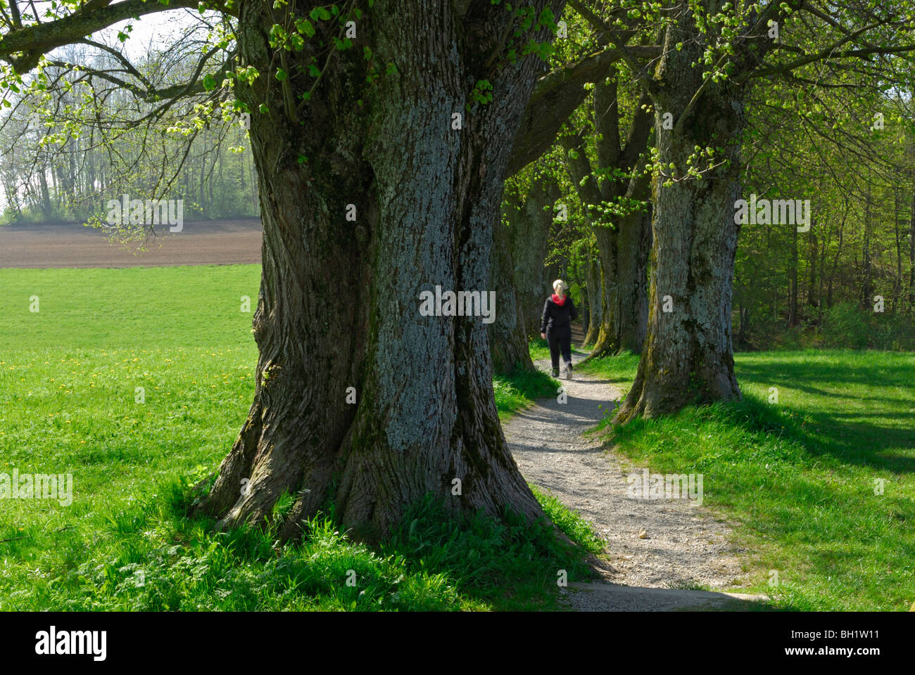 Narrow path hi-res stock photography and images - Alamy