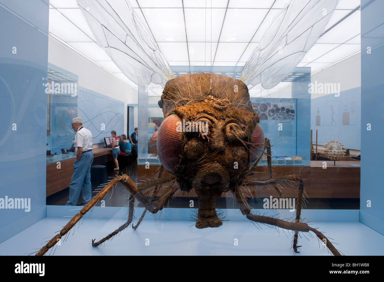 Das Deutsche Hygiene Museum, DHMD, Room 2 Living and Dying, large scale ...