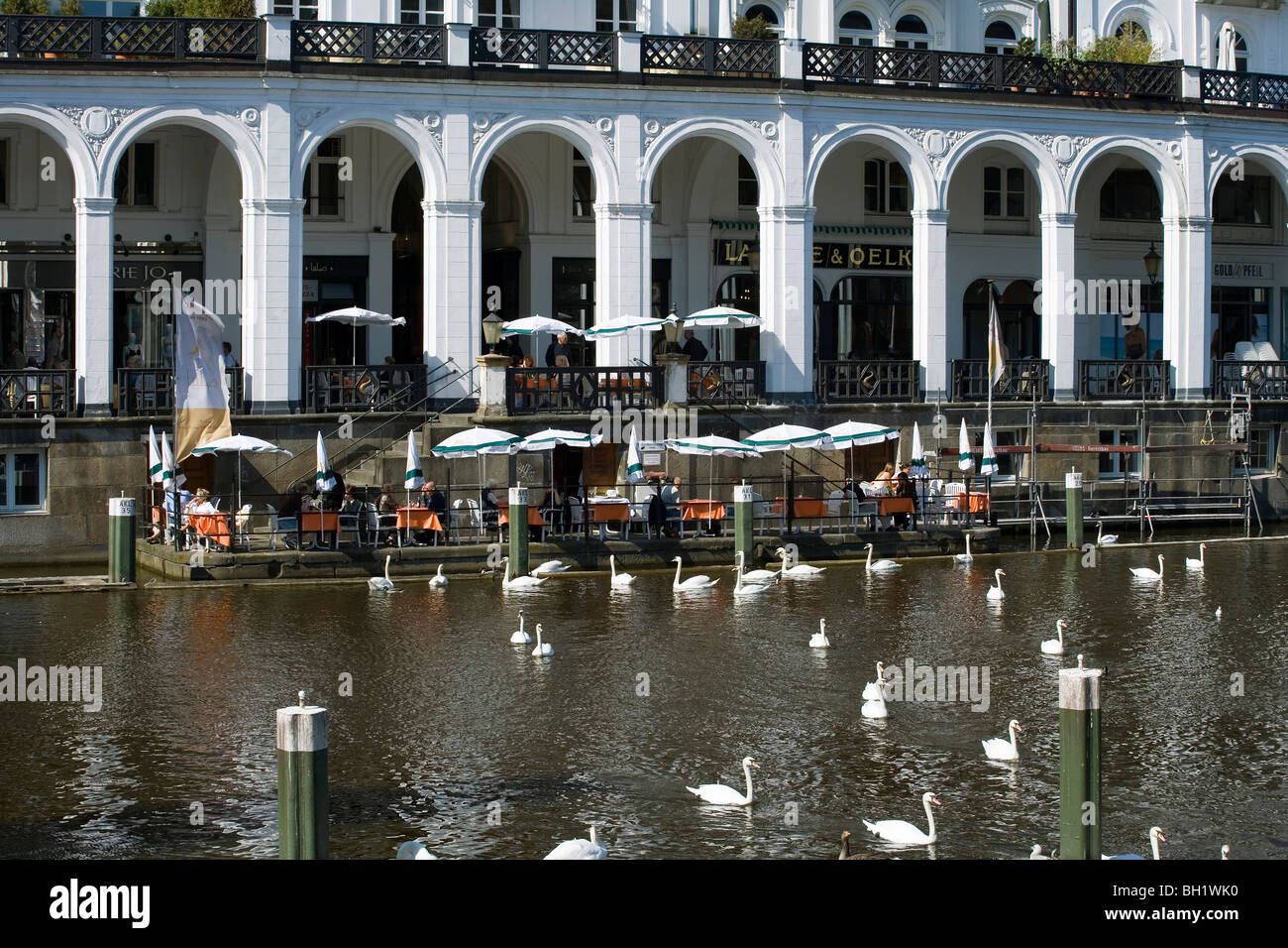 Alster swans hi-res stock photography and images - Alamy