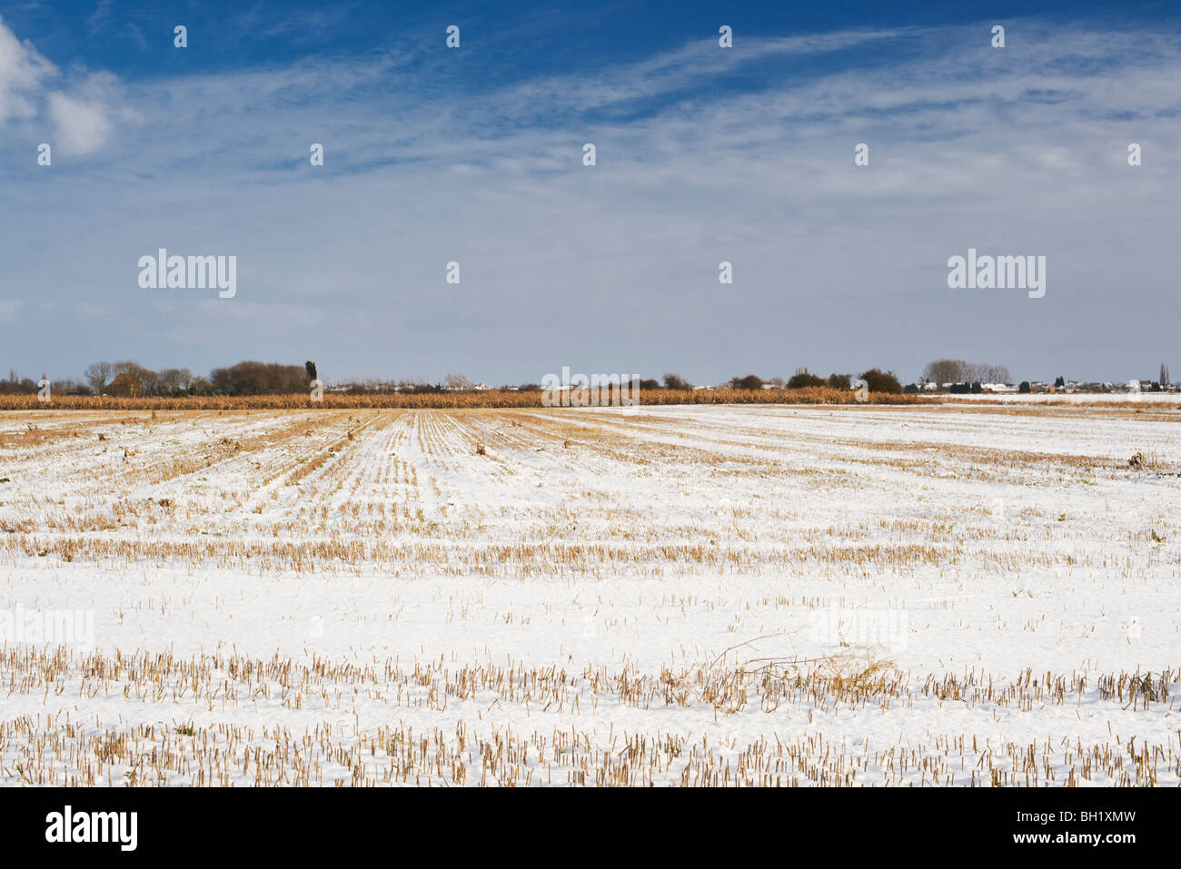 Fen edge hi-res stock photography and images - Alamy