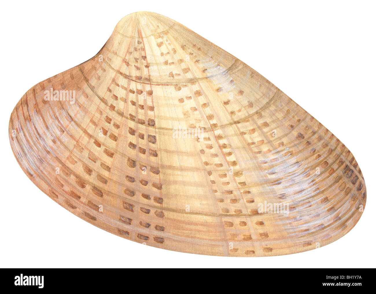 Painting venus hi-res stock photography and images - Alamy