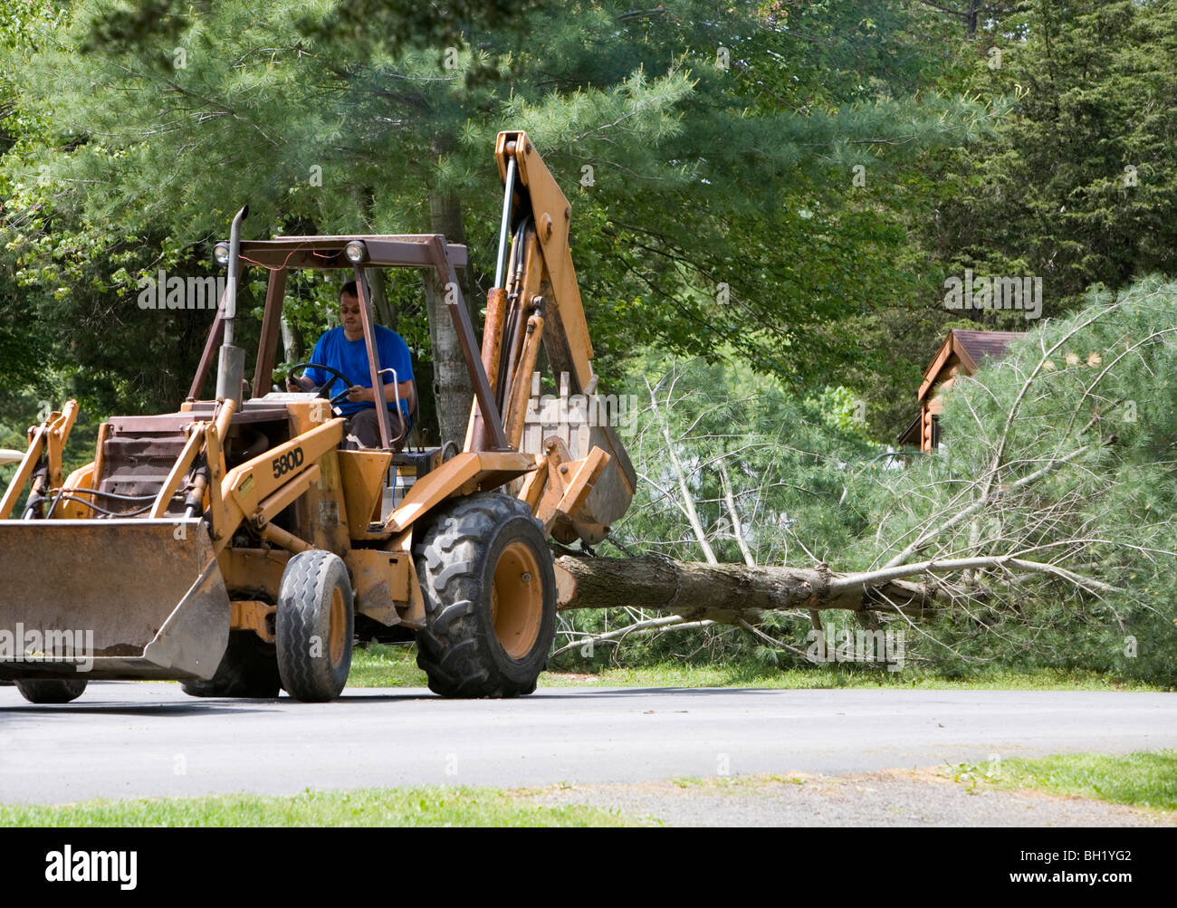 Tree cutdown hi-res stock photography and images - Alamy