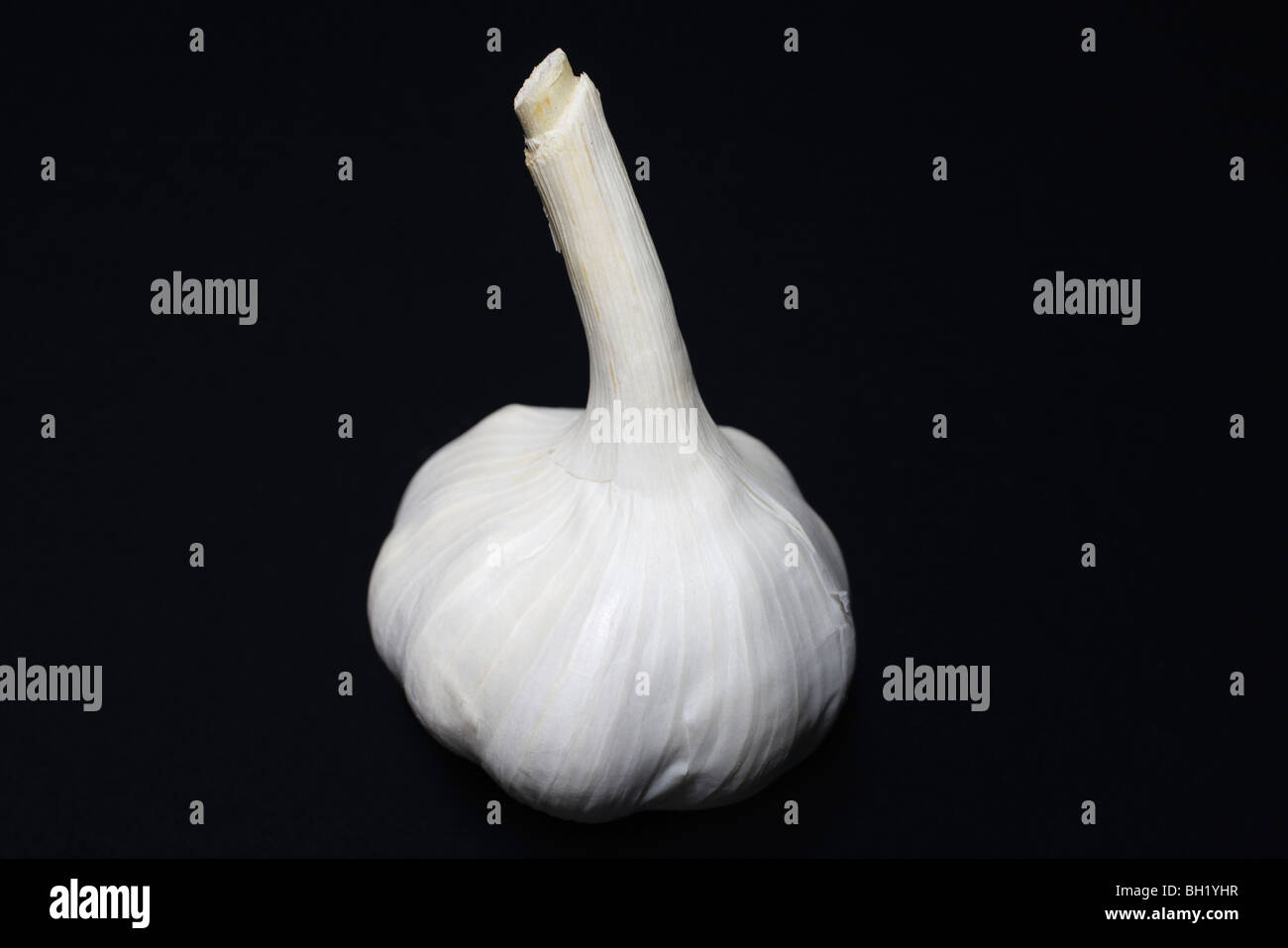 Bulb of garlic Stock Photo - Alamy