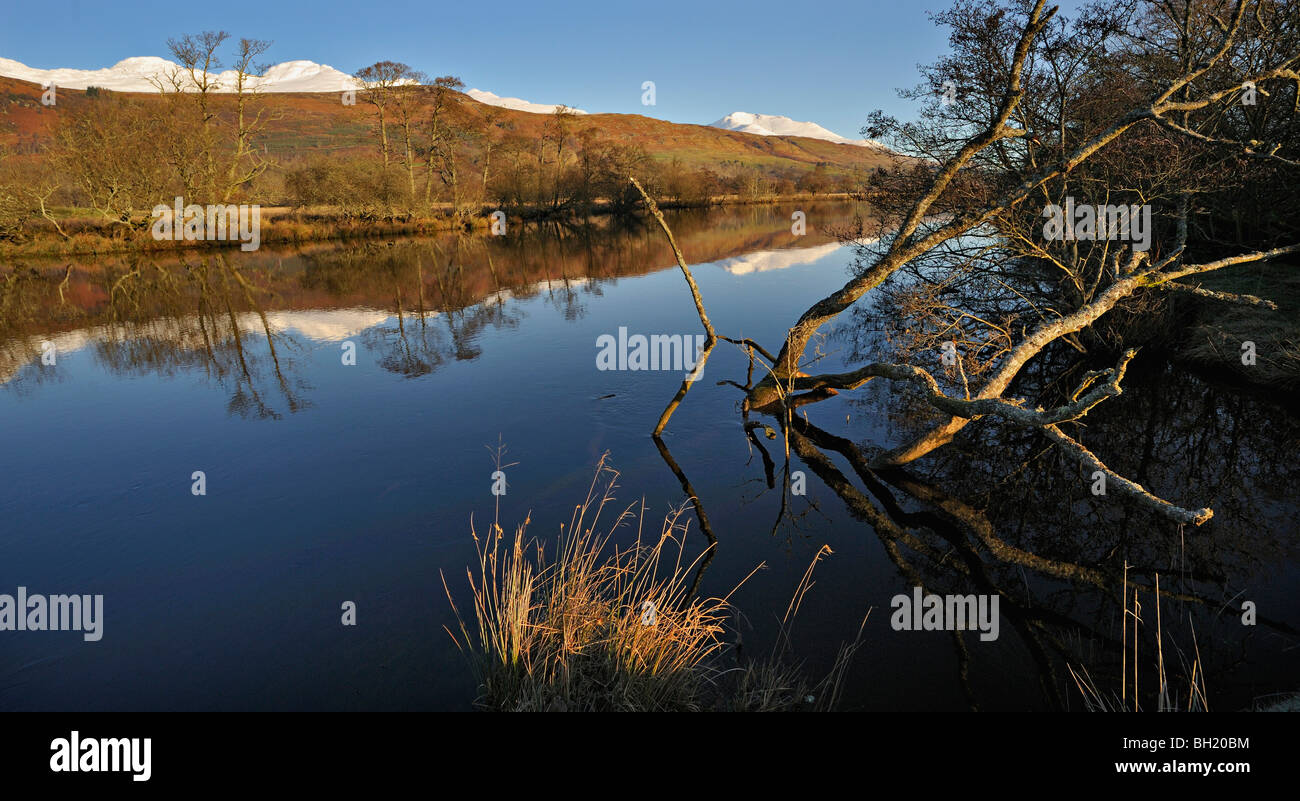 Alder Tree River High Resolution Stock Photography and Images - Alamy