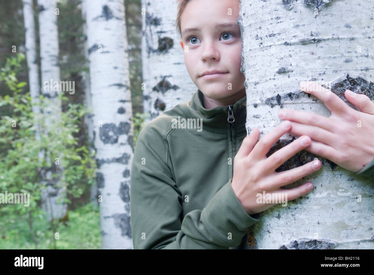 Around tree hi-res stock photography and images - Alamy