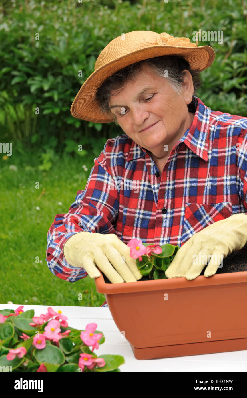 Senior woman – gardening Stock Photo - Alamy