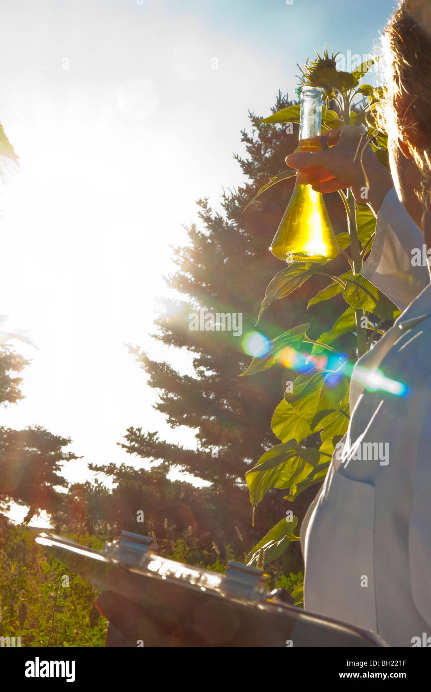 Upsun hi-res stock photography and images - Alamy