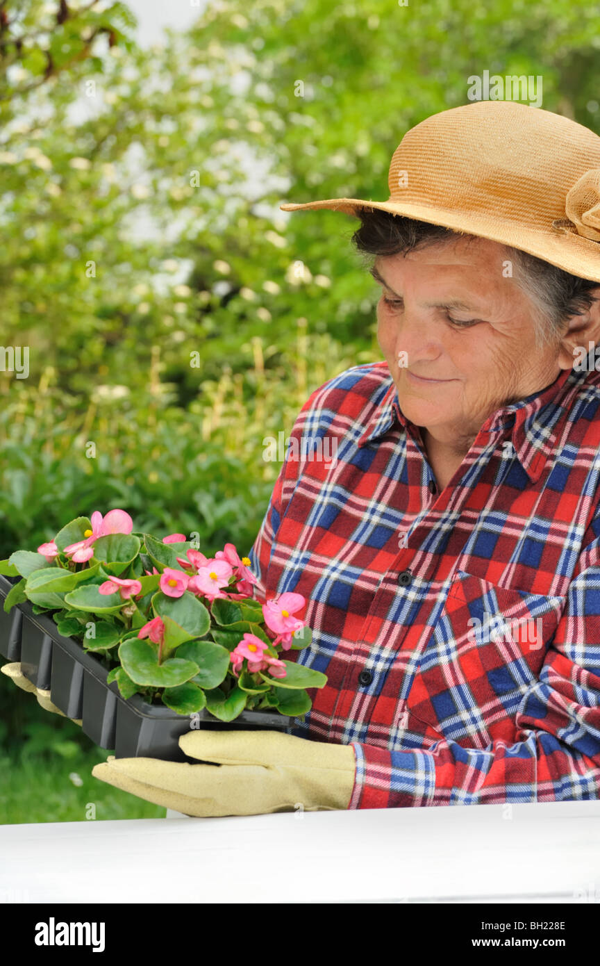 Senior woman – gardening Stock Photo - Alamy
