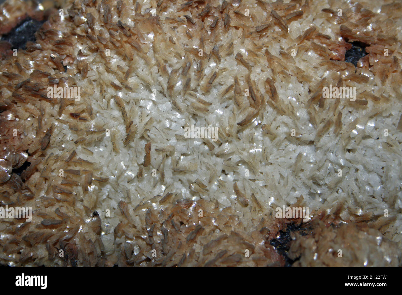 Nenthead hi-res stock photography and images - Alamy