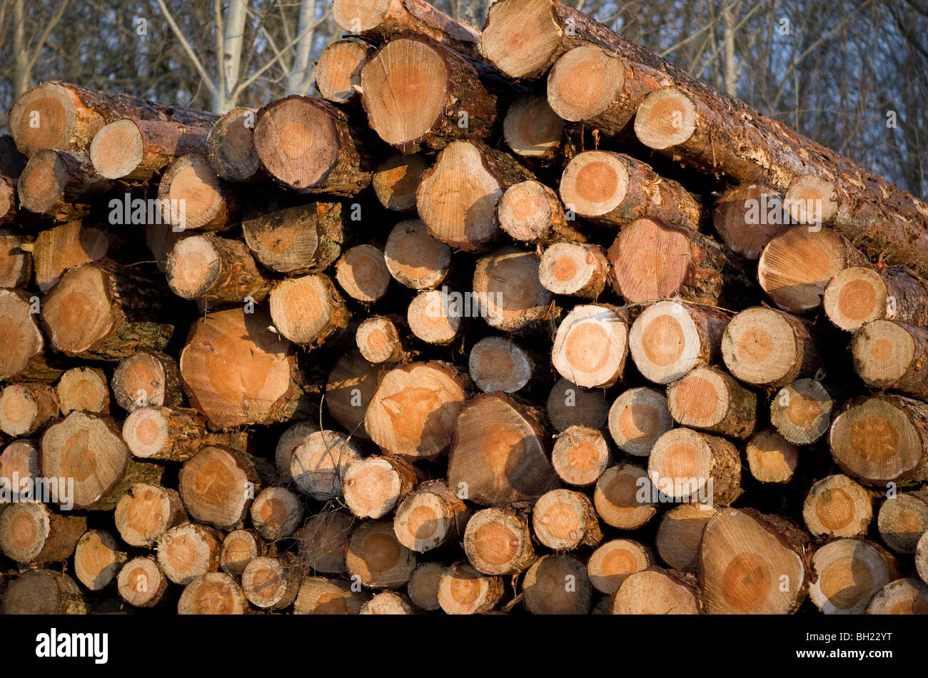 Europe timber industry hi-res stock photography and images - Alamy