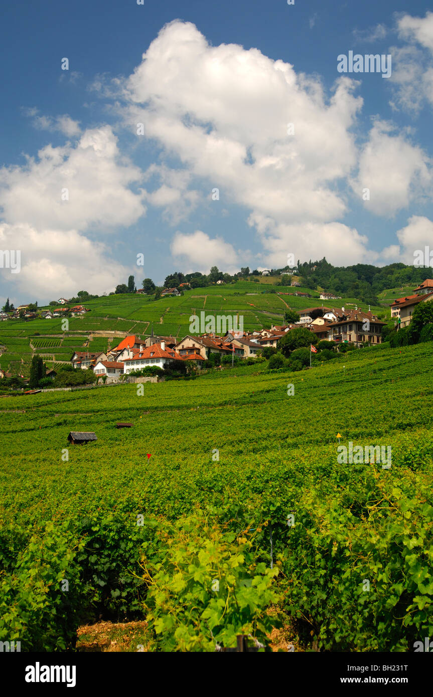 Man made landscape hi-res stock photography and images - Alamy
