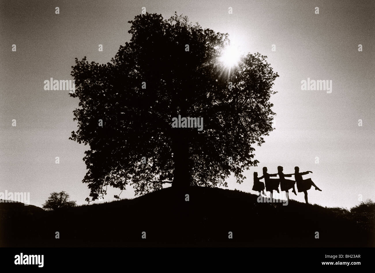 Four dancing girls in silhouette under an old oak tree Stock Photo - Alamy