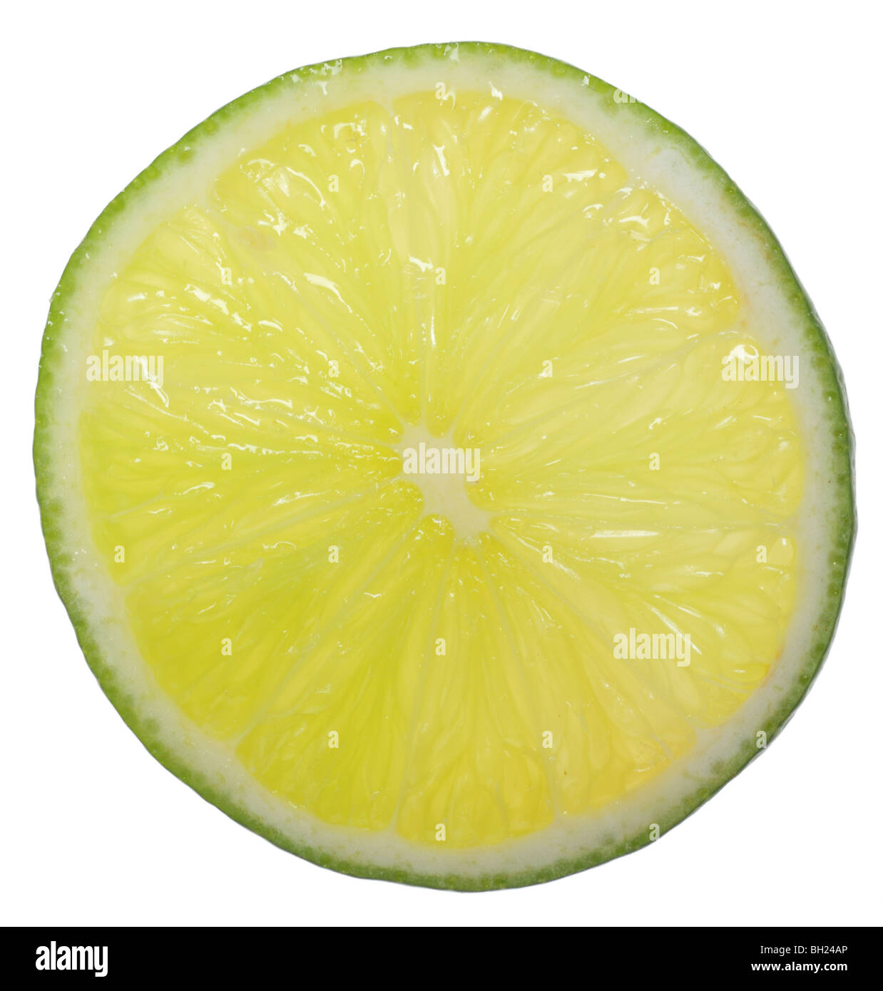 Lime slice backlit Cut Out Stock Images & Pictures - Alamy