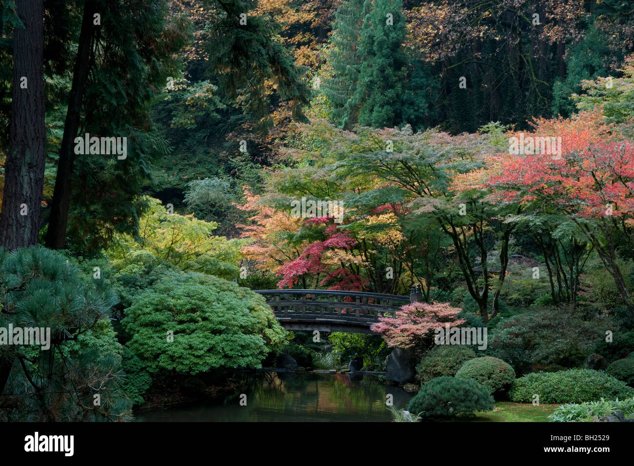 Autumn in the Japanese Garden, Portland, Oregon Stock Photo - Alamy