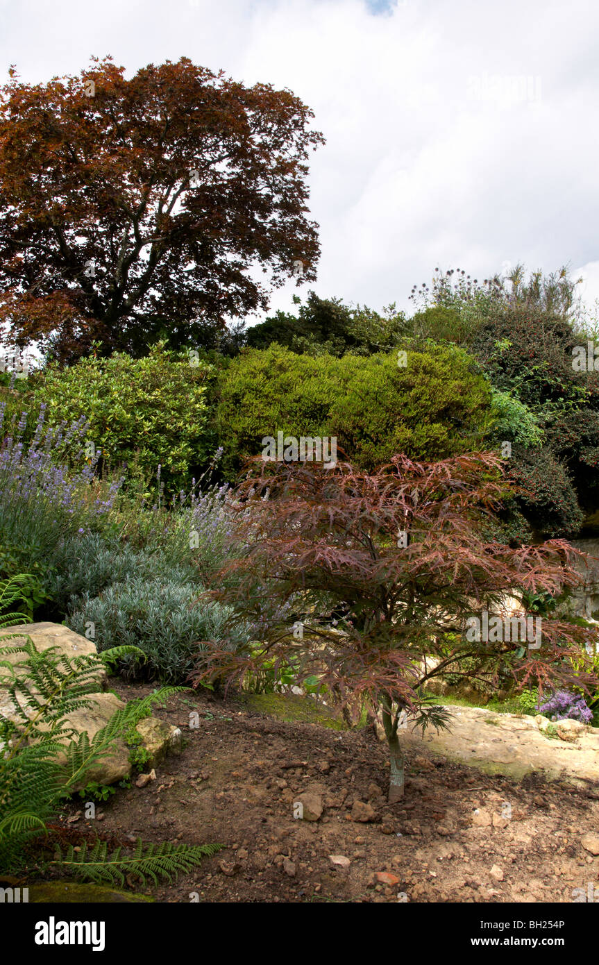 Trees in a garden in summer with an overcast sky Stock Photo - Alamy