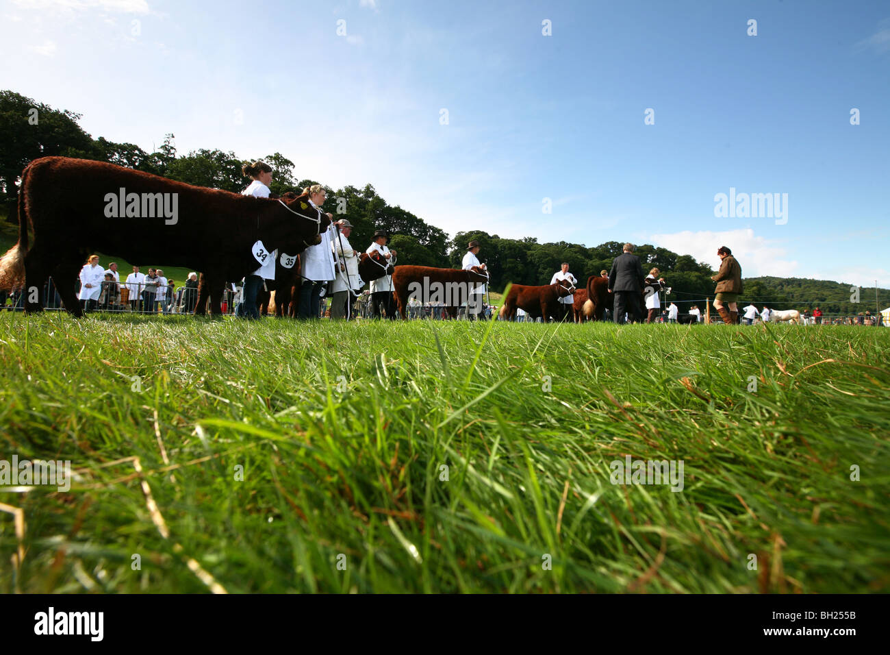Dunster show hi-res stock photography and images - Alamy