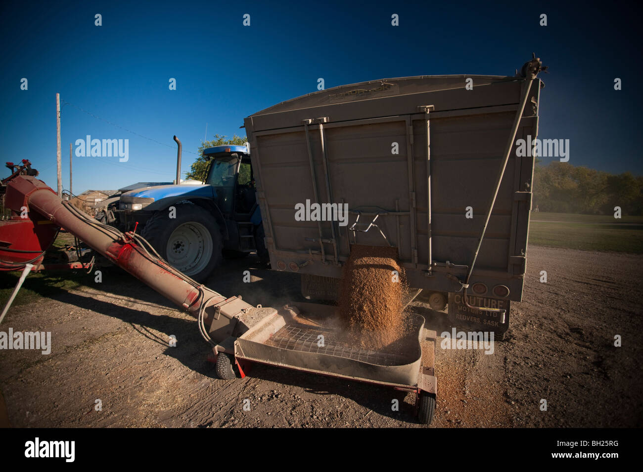 Unloading Grain Truck, Redvers, Saskatchewan, Canada Stock Photo - Alamy