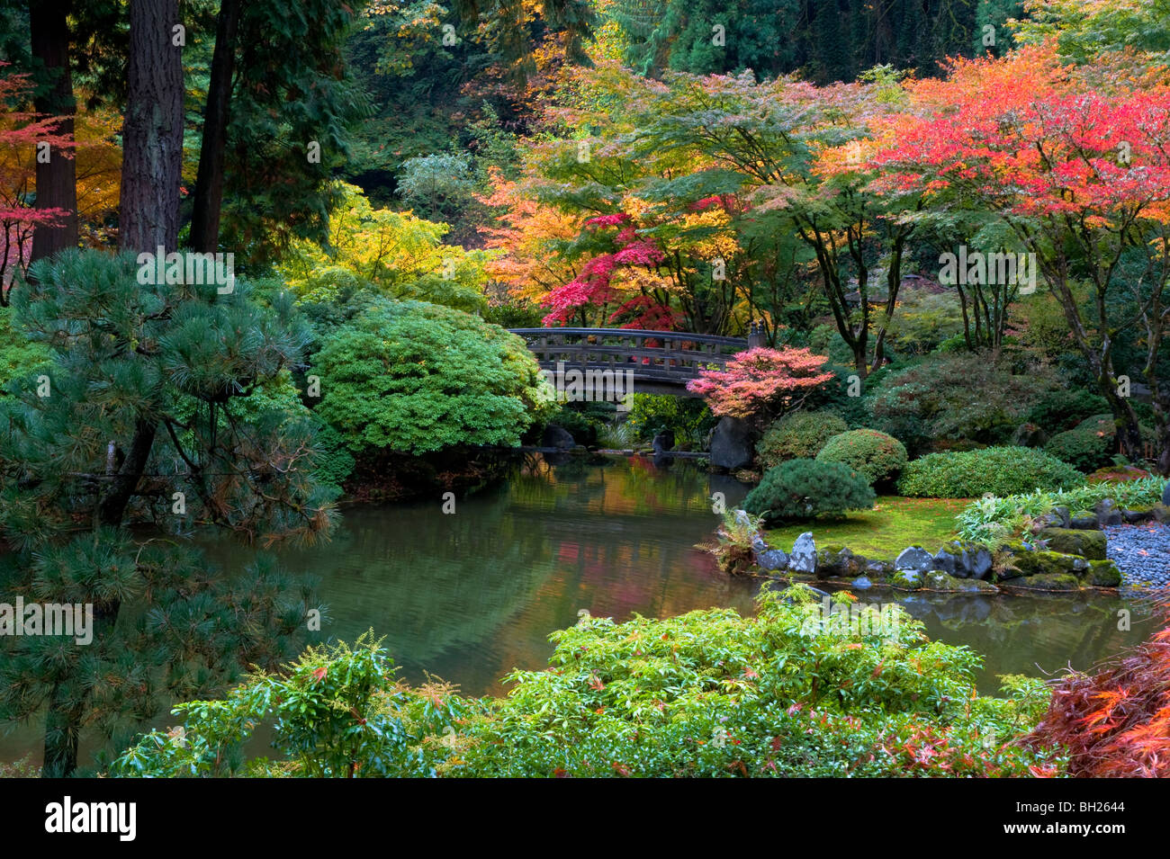 Portland japanese garden tree hi-res stock photography and images - Alamy