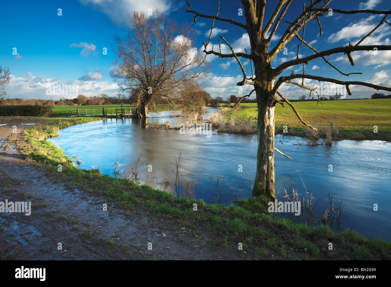 The upper reaches of the River Thames above Cricklade in Wiltshire, Uk ...