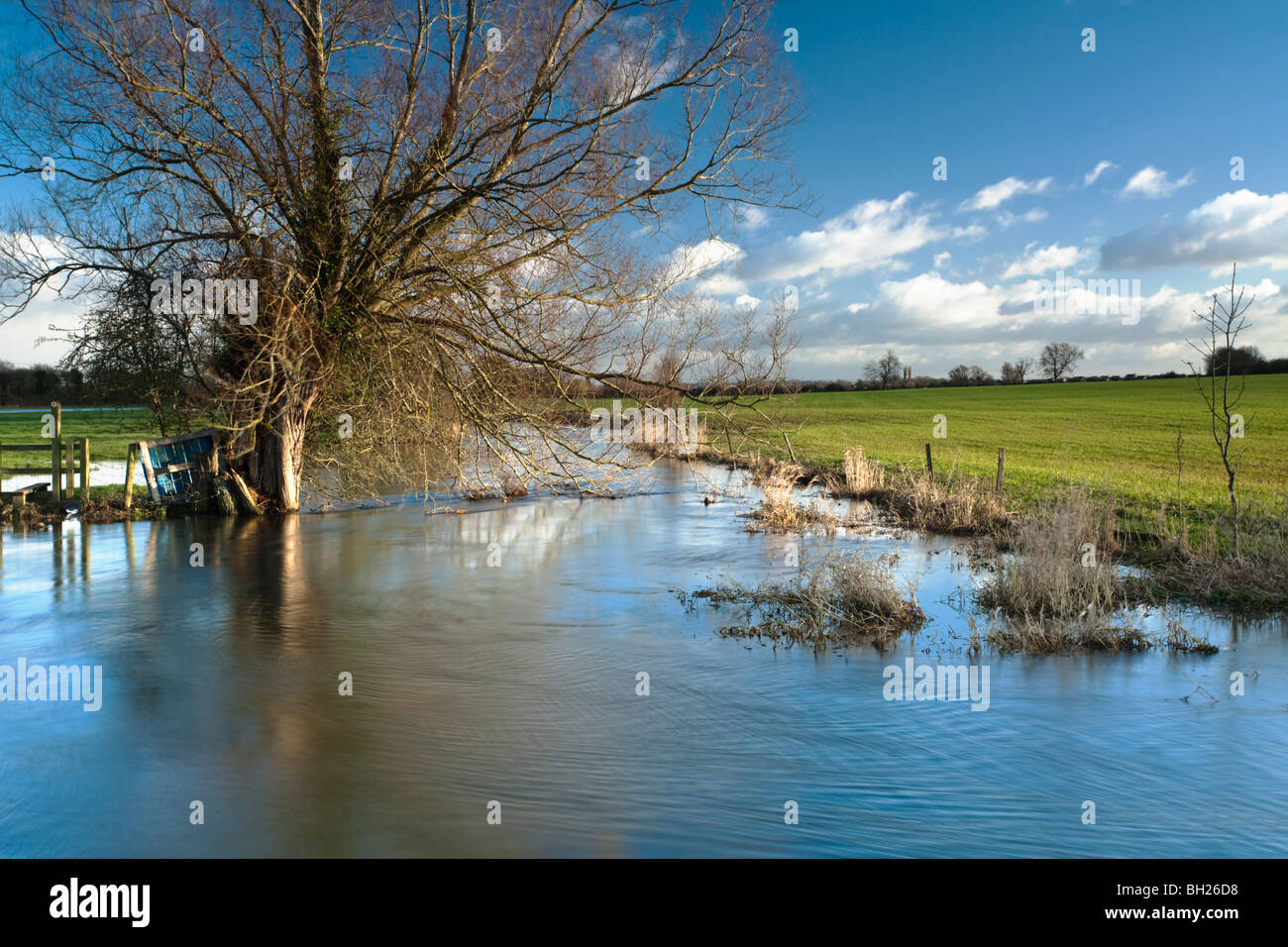 The upper reaches of the River Thames above Cricklade in Wiltshire, Uk ...