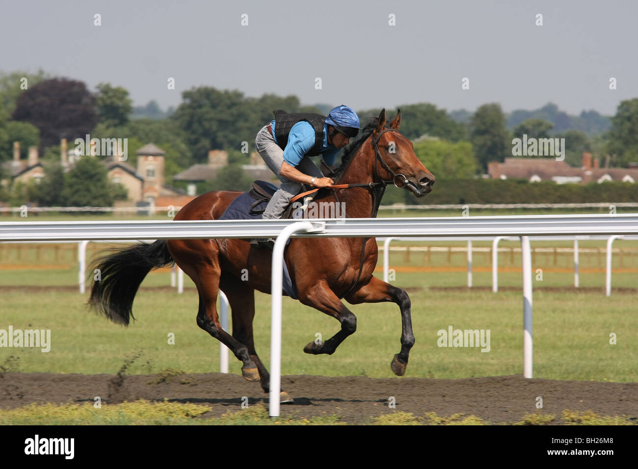 Gallop Racehorse High Resolution Stock Photography and Images - Alamy