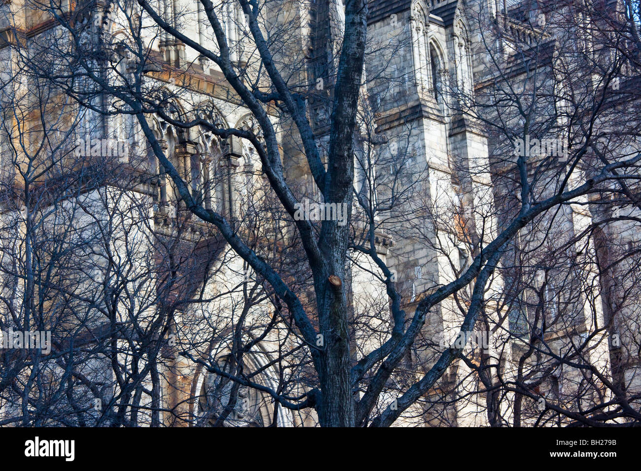 St saint johns hi-res stock photography and images - Alamy