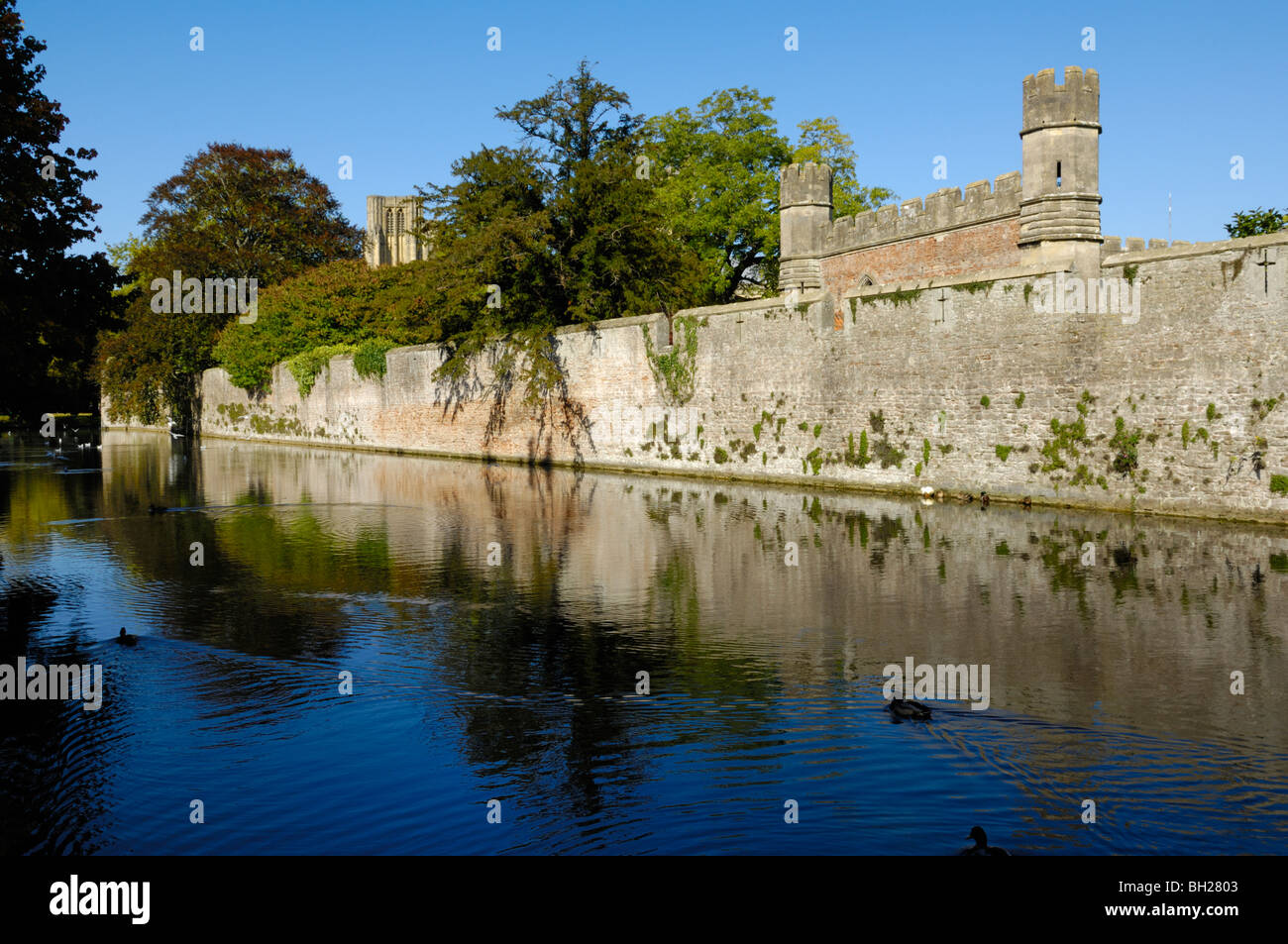 Bishops palace wall moat wells hi-res stock photography and images - Alamy