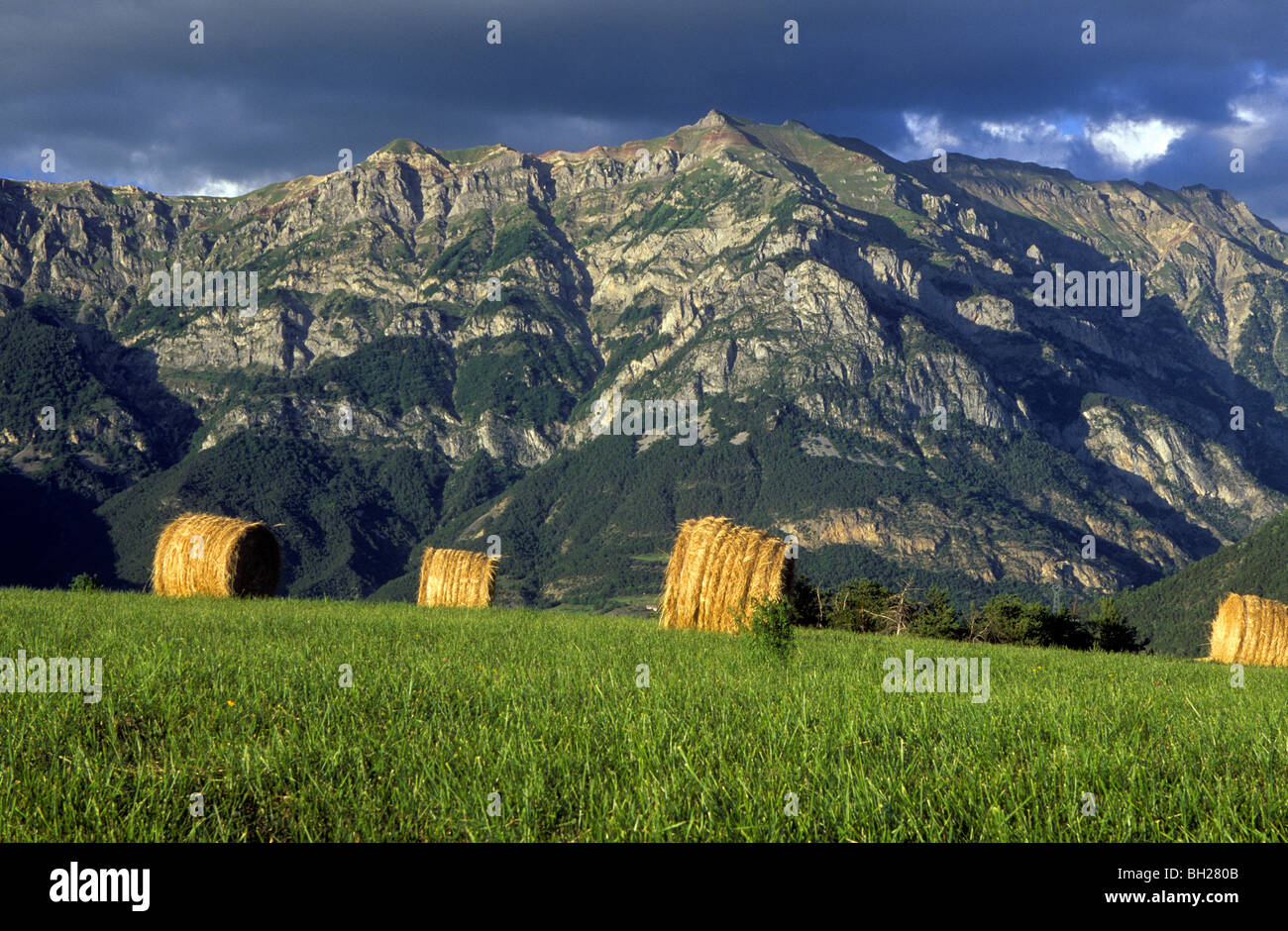 Hay bales in front of Mountain near Gap, French Alps. Nimbo-stratus ...