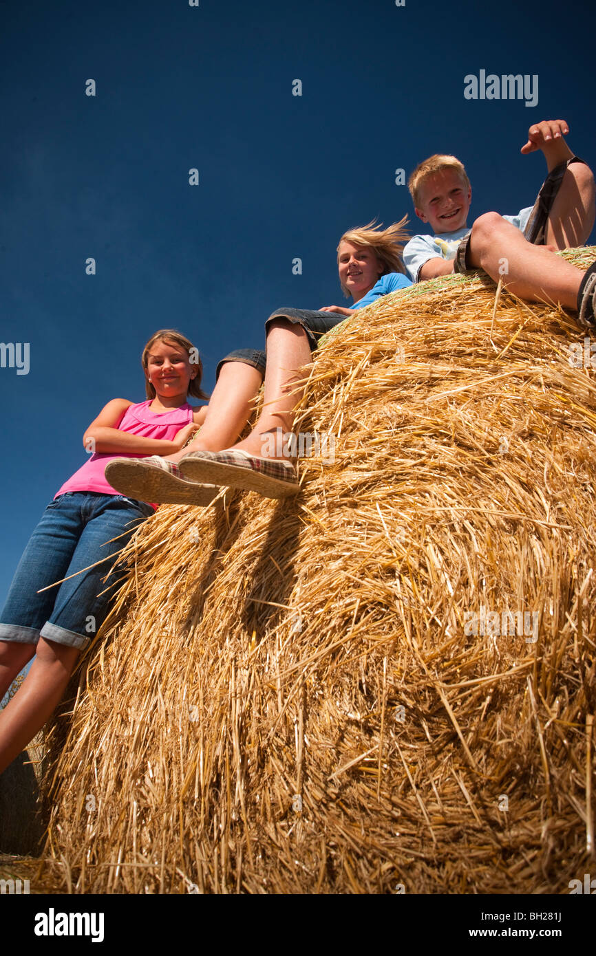 3 Farm Kids On Bales; Redvers, Saskatchewan, Canada Stock Photo - Alamy