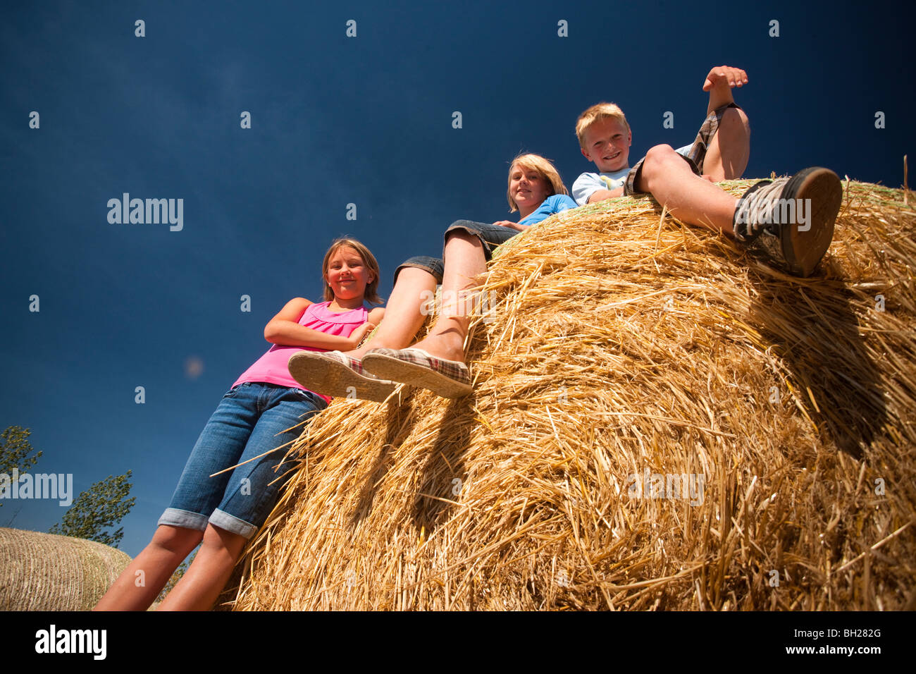 3 Farm Kids On Bales; Redvers, Saskatchewan, Canada Stock Photo - Alamy
