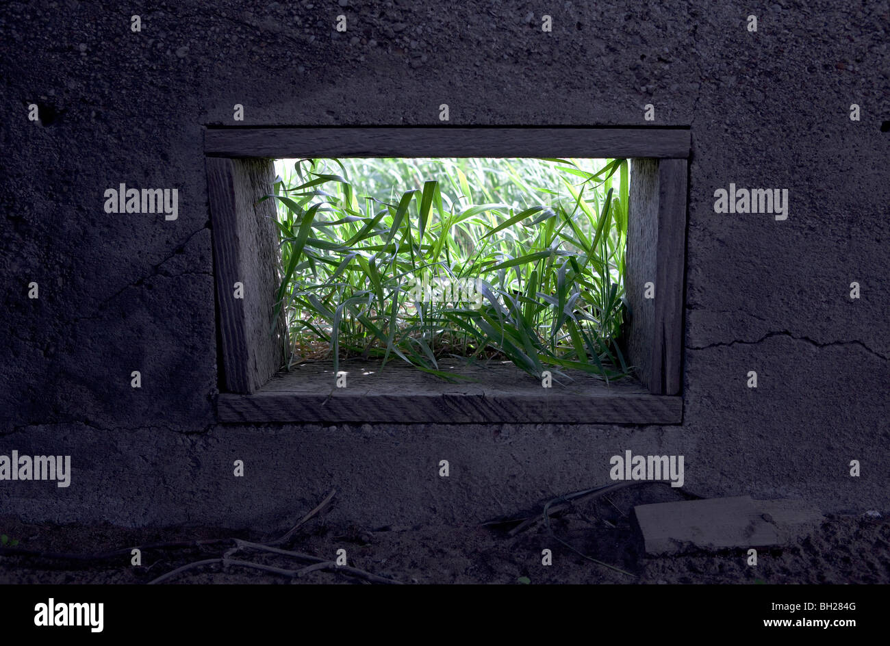 Red signals hi-res stock photography and images - Alamy