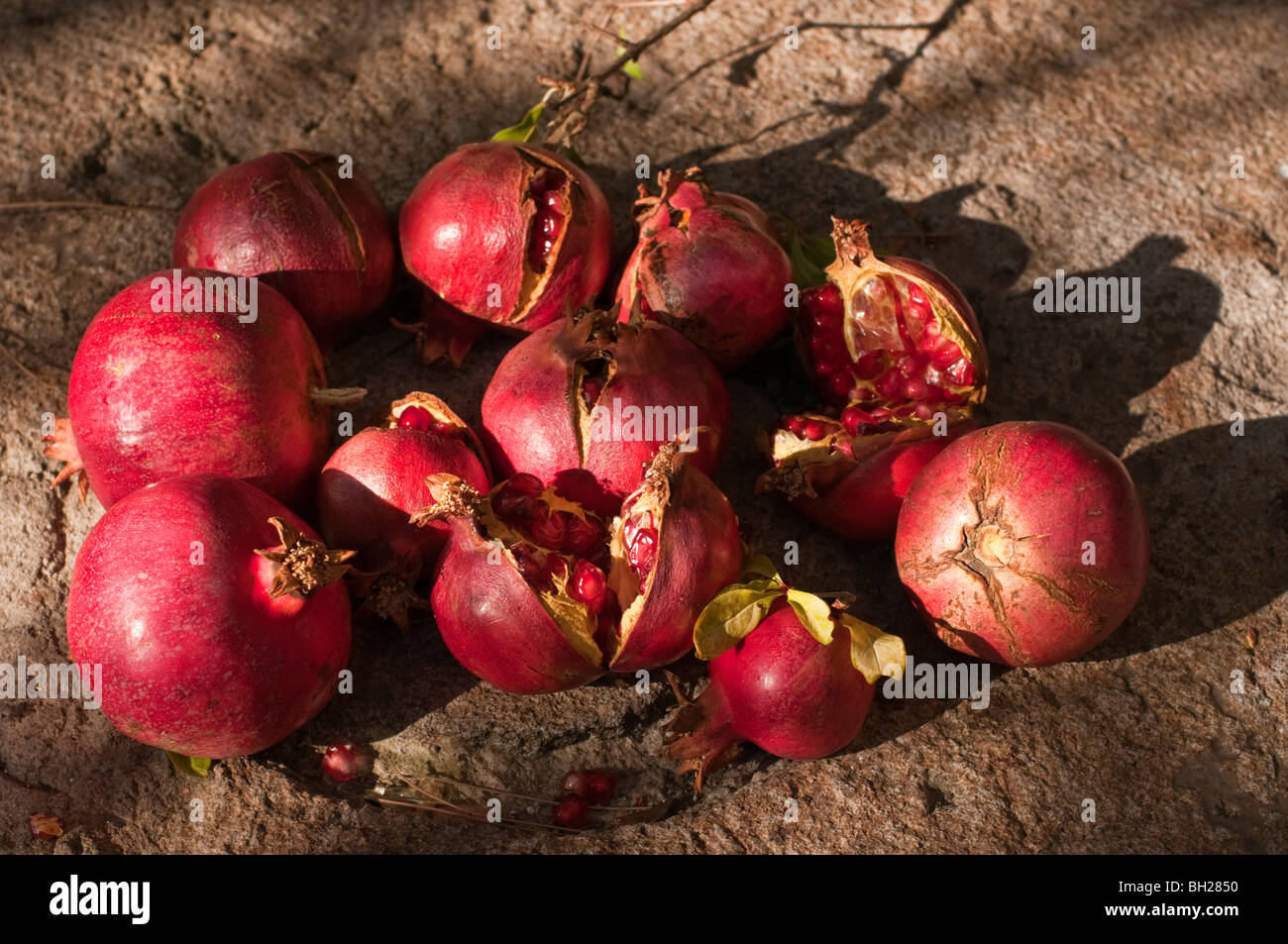 Ruby colored hi-res stock photography and images - Alamy