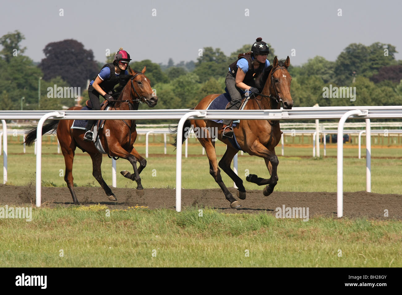 Jockeys on racehorses horse racing hi-res stock photography and images ...
