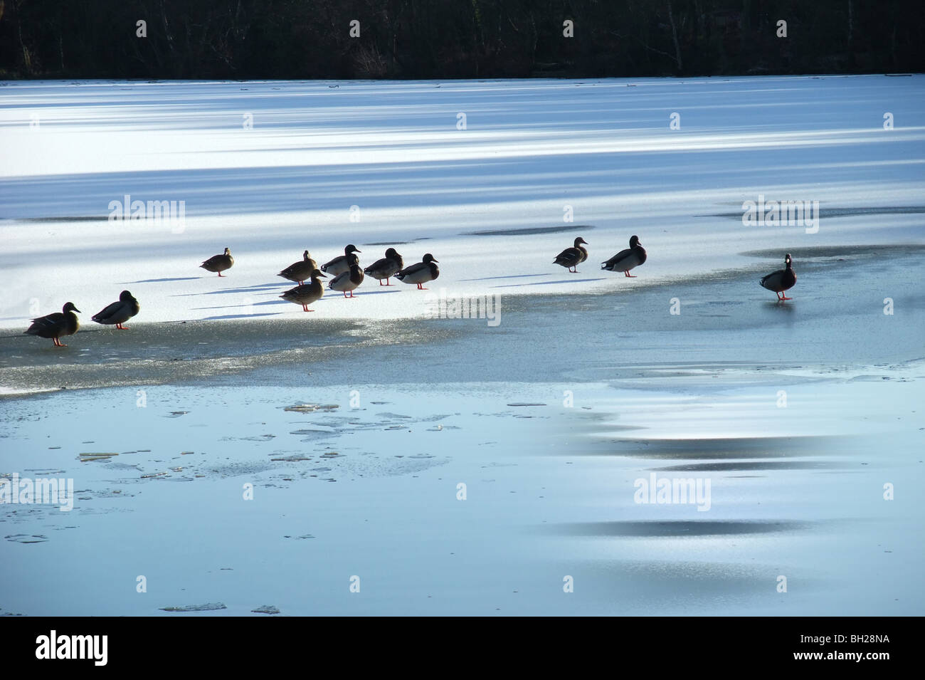 Warren pond hi-res stock photography and images - Alamy
