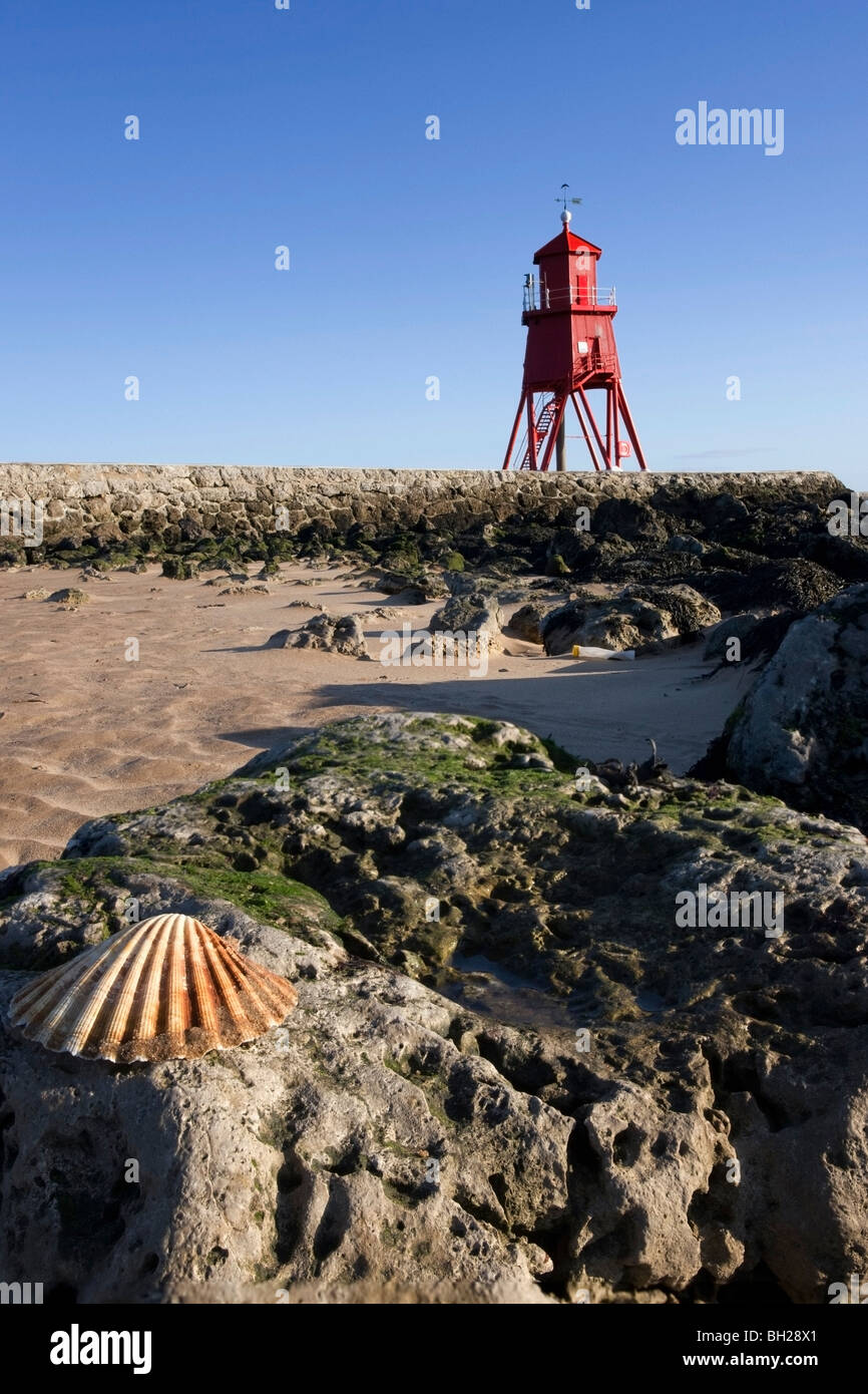 Shell lighthouse hi-res stock photography and images - Alamy