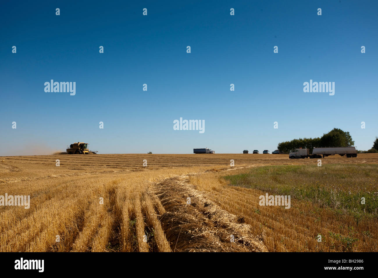 Redvers saskatchewan hi-res stock photography and images - Alamy