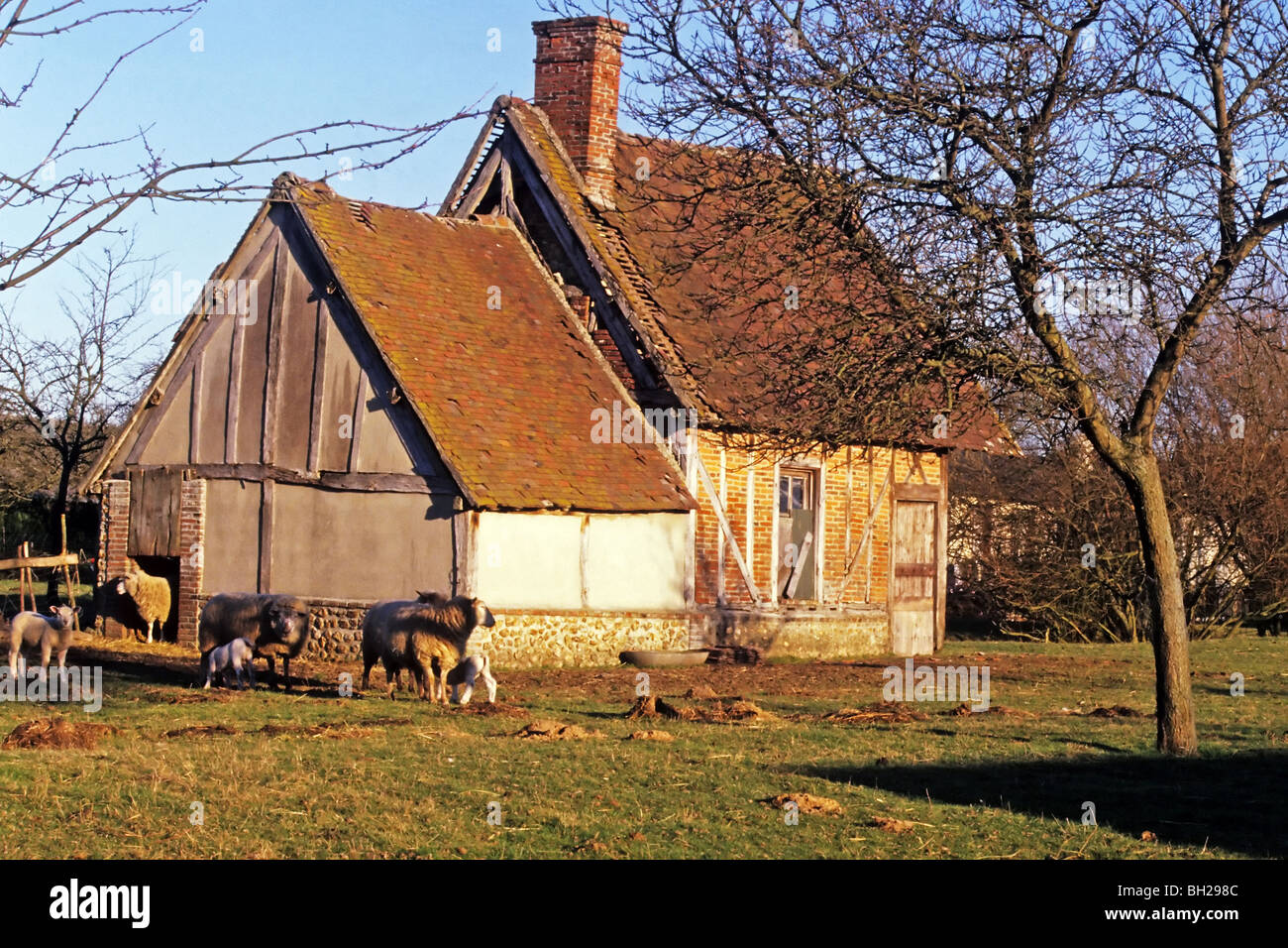 NORMANDY HOUSE, FARMING, RUGLES, EURE (27), NORMANDY, FRANCE Stock ...