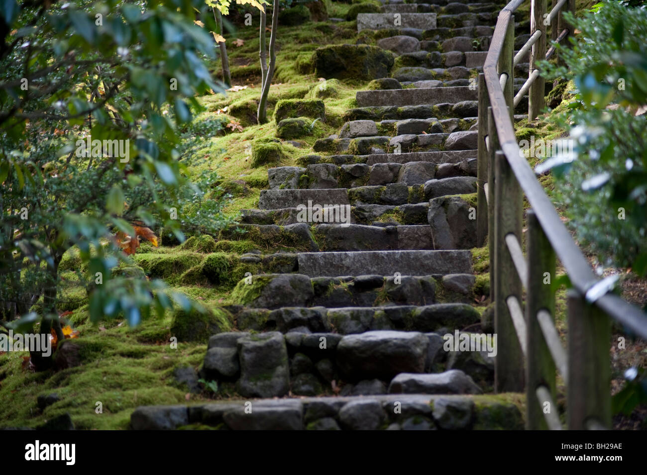 Japanese zen garden stairs hi-res stock photography and images - Alamy