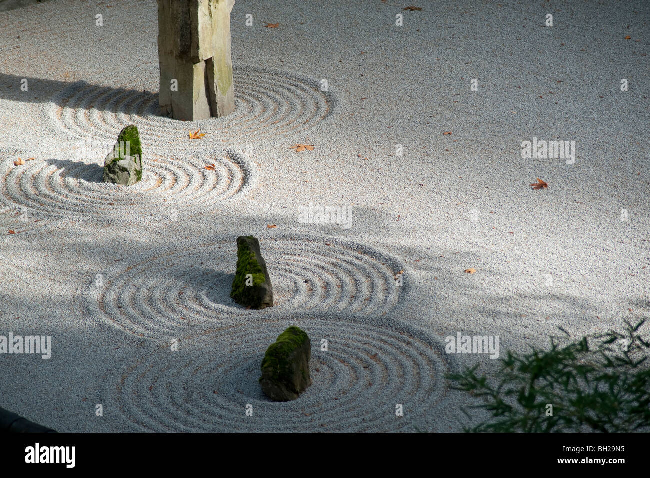 Wave like stone hi-res stock photography and images - Alamy