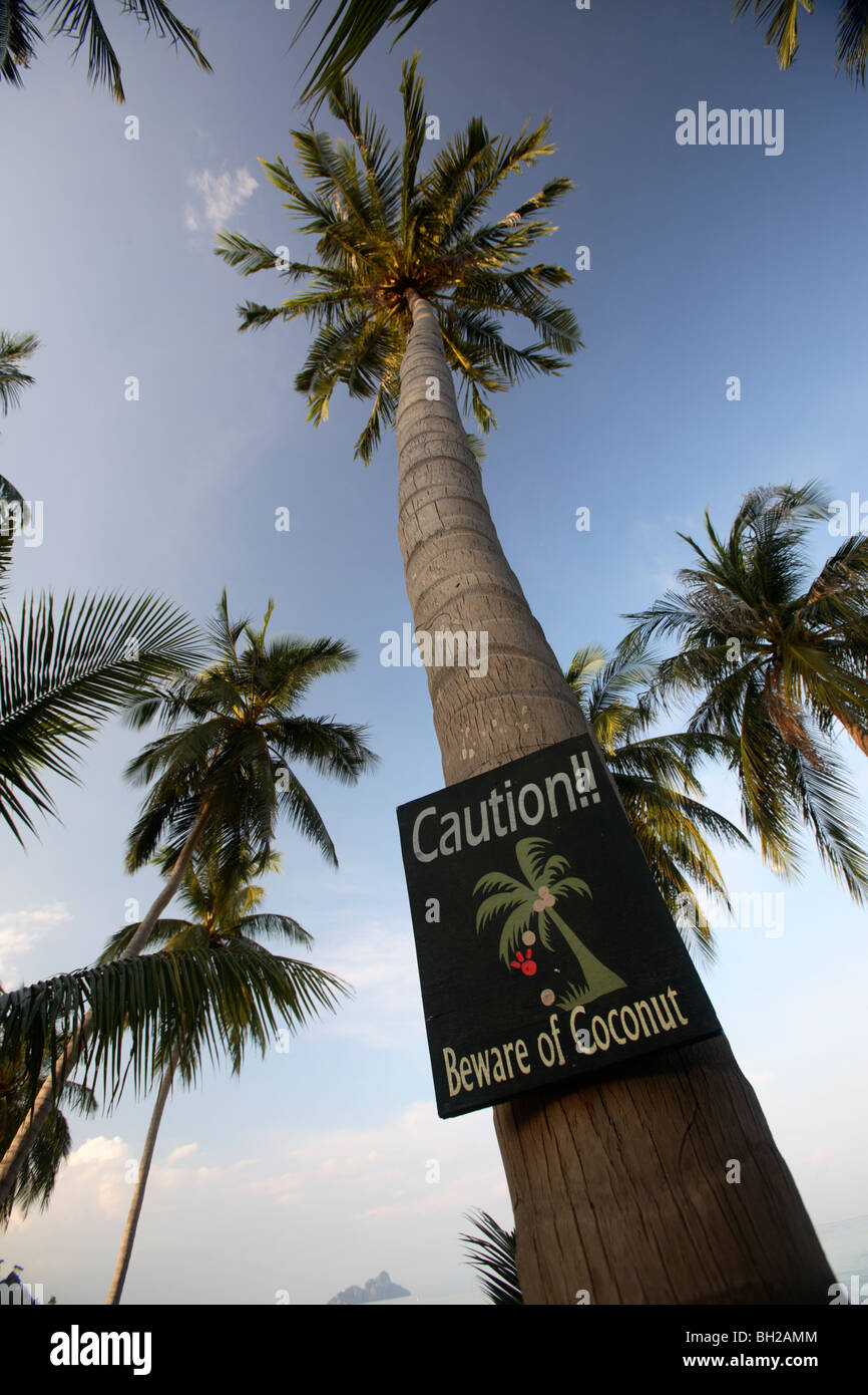 Falling coconuts hi-res stock photography and images - Alamy