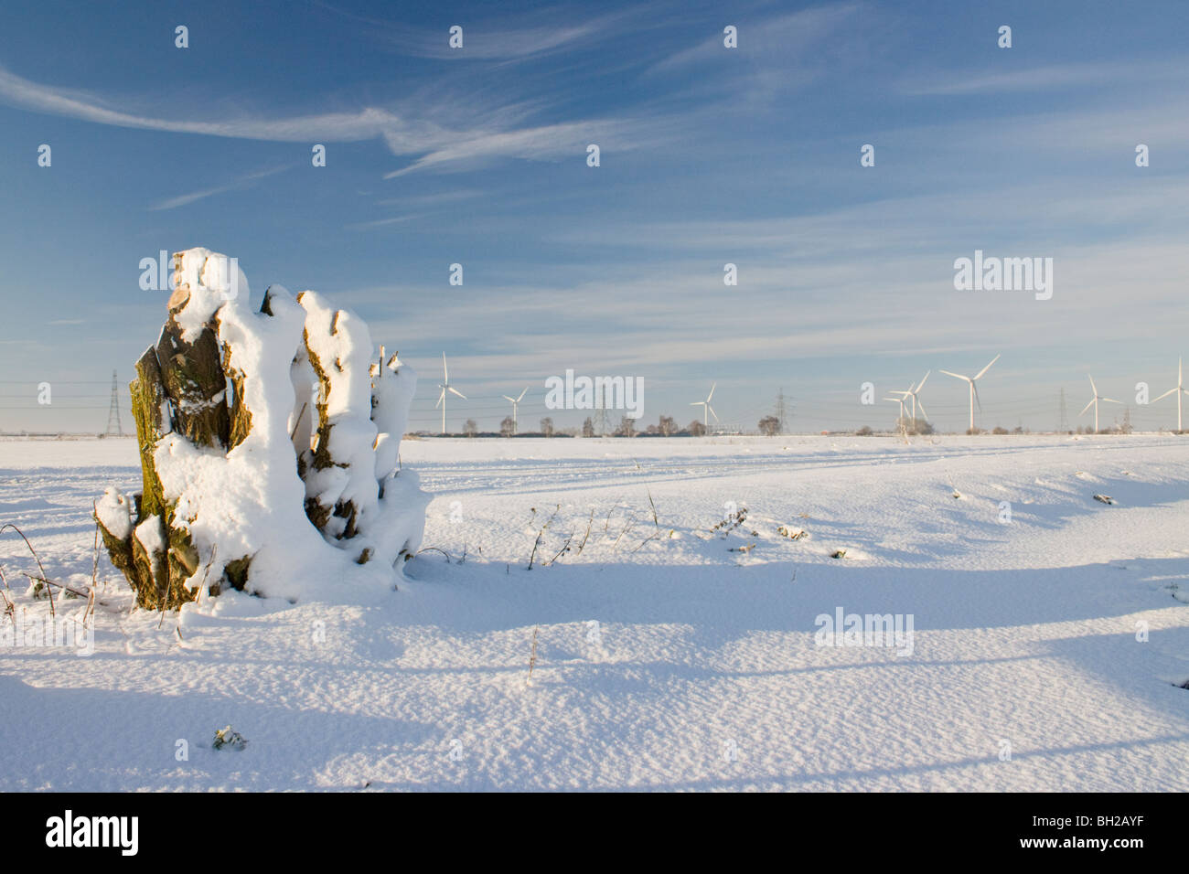 tree stump, with a wind farm on the horizon, in a flat snowy landscape ...