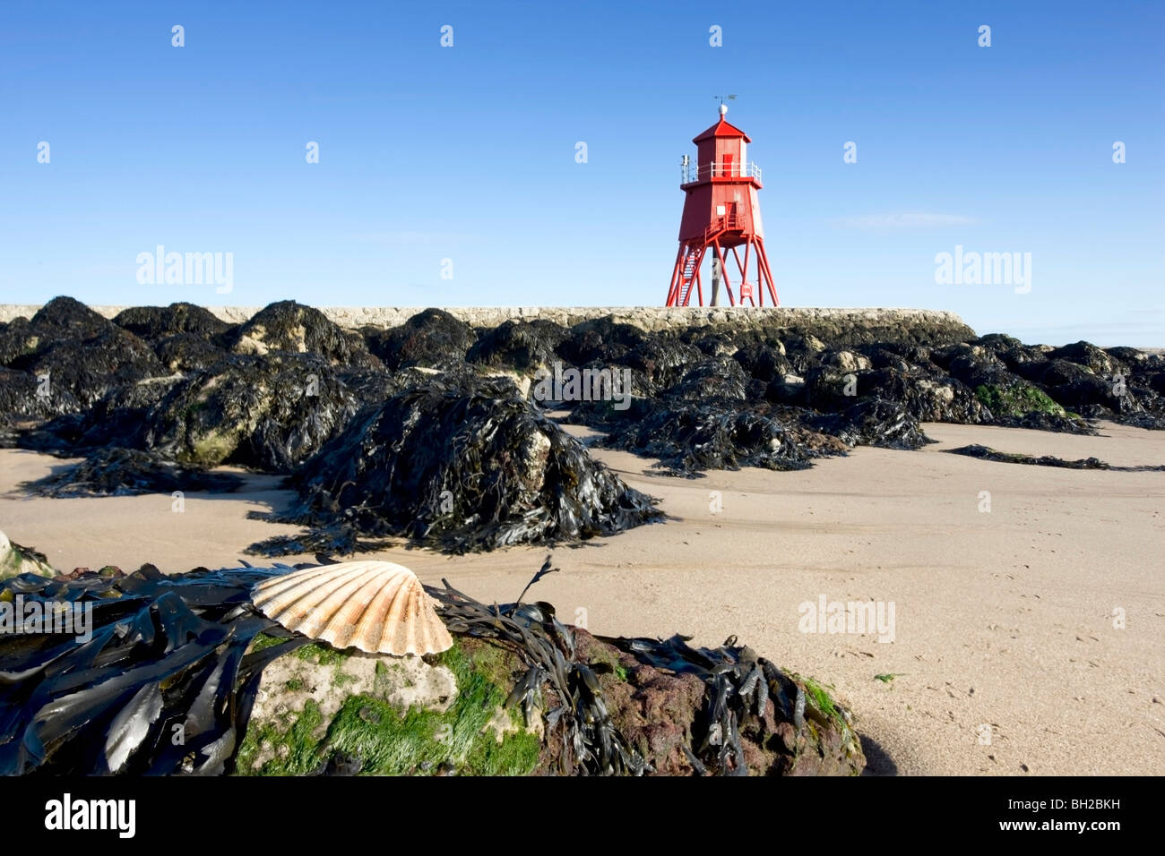 Shell lighthouse hi-res stock photography and images - Alamy