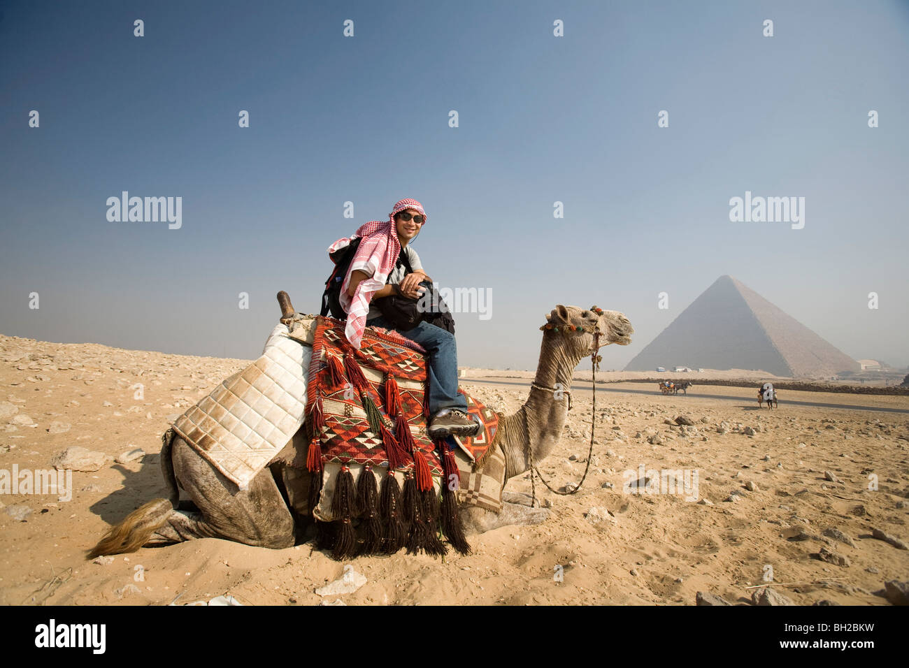 Camel desert sky pyramid hi-res stock photography and images - Alamy